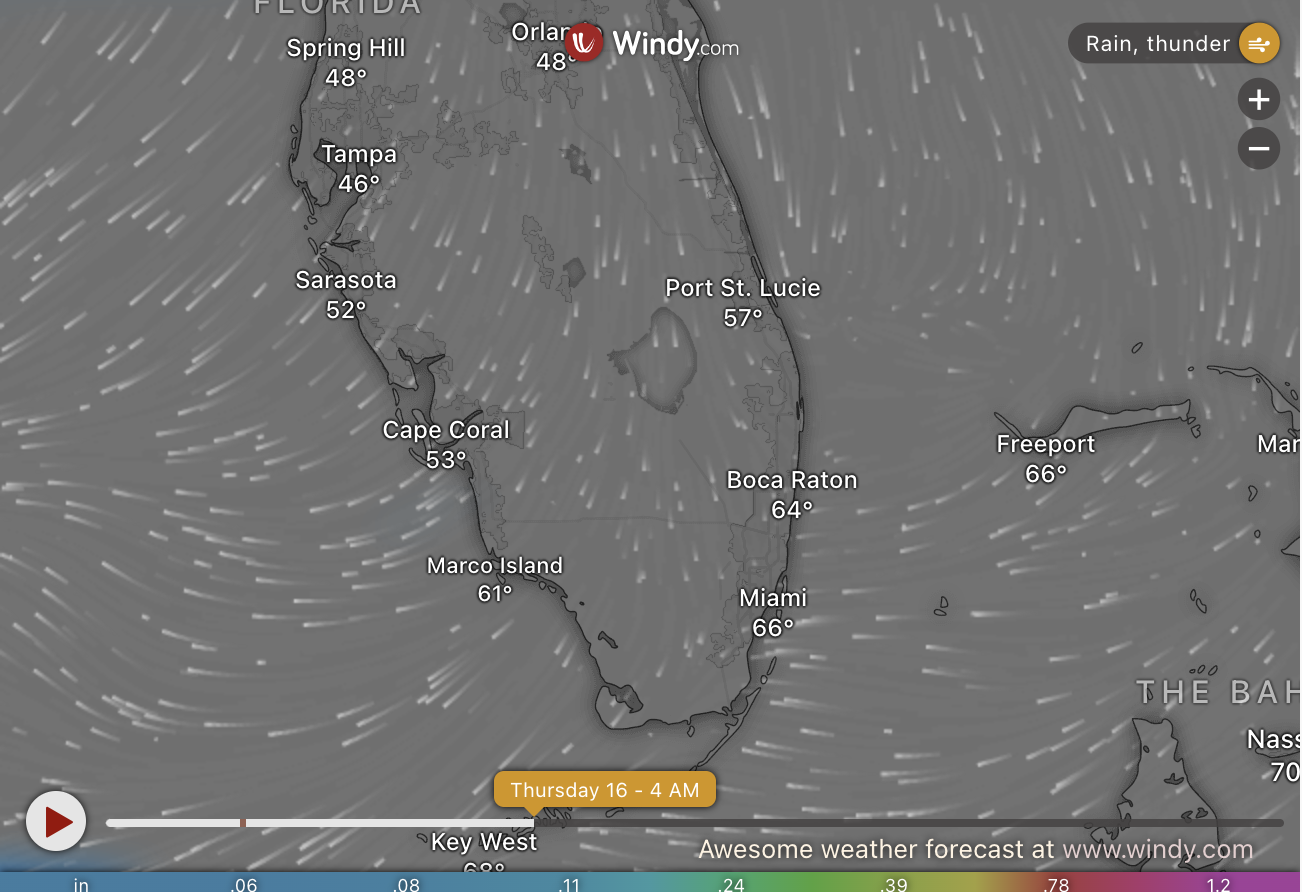 What's the Weather Like in Miami This Week? Temperature, Rain Forecasts