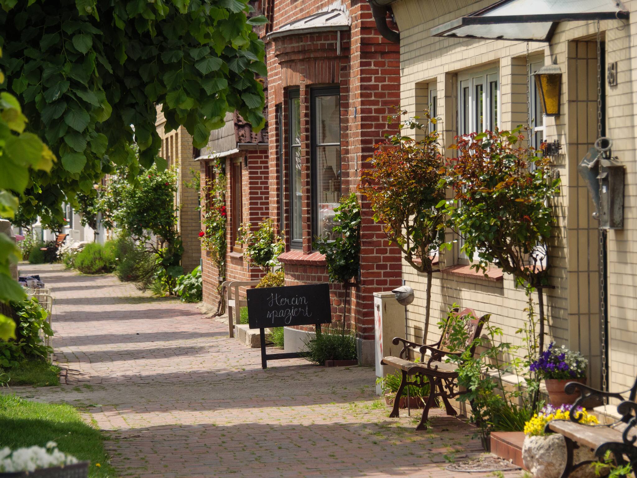 Arnis an der Schlei: Deutschlands kleinste Stadt hat viel zu bieten