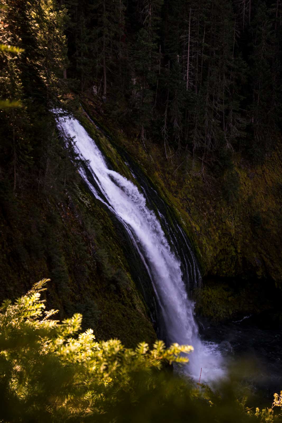 8 Oregon State Parks With Waterfalls and Wildflowers You Have to ...