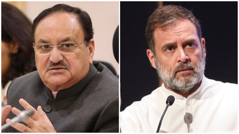 BJP Hits Back At Rahul Gandhi's 'Fighting Indian State' Remark ... BJP Hits Back At Rahul Gandhi's 'Fighting Indian State' Remark ...