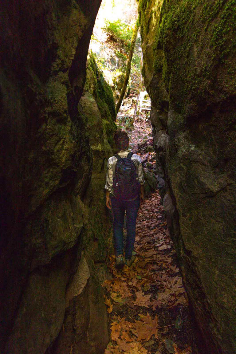 7 Oregon Waterfall Hikes in the Rogue Valley You’ll Love for Adventure ...