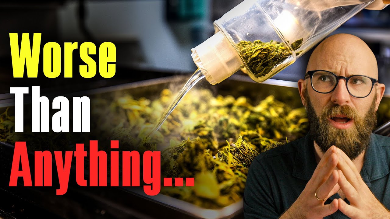 Spice: The Synthetic Drug Destroying Lives (REDO)