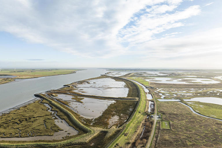 Nature reserve at the heart of Europe’s largest coastal habitat ...