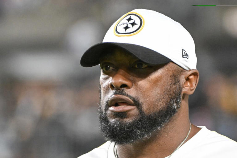 Steelers owner does not hold back on Mike Tomlin after collapse