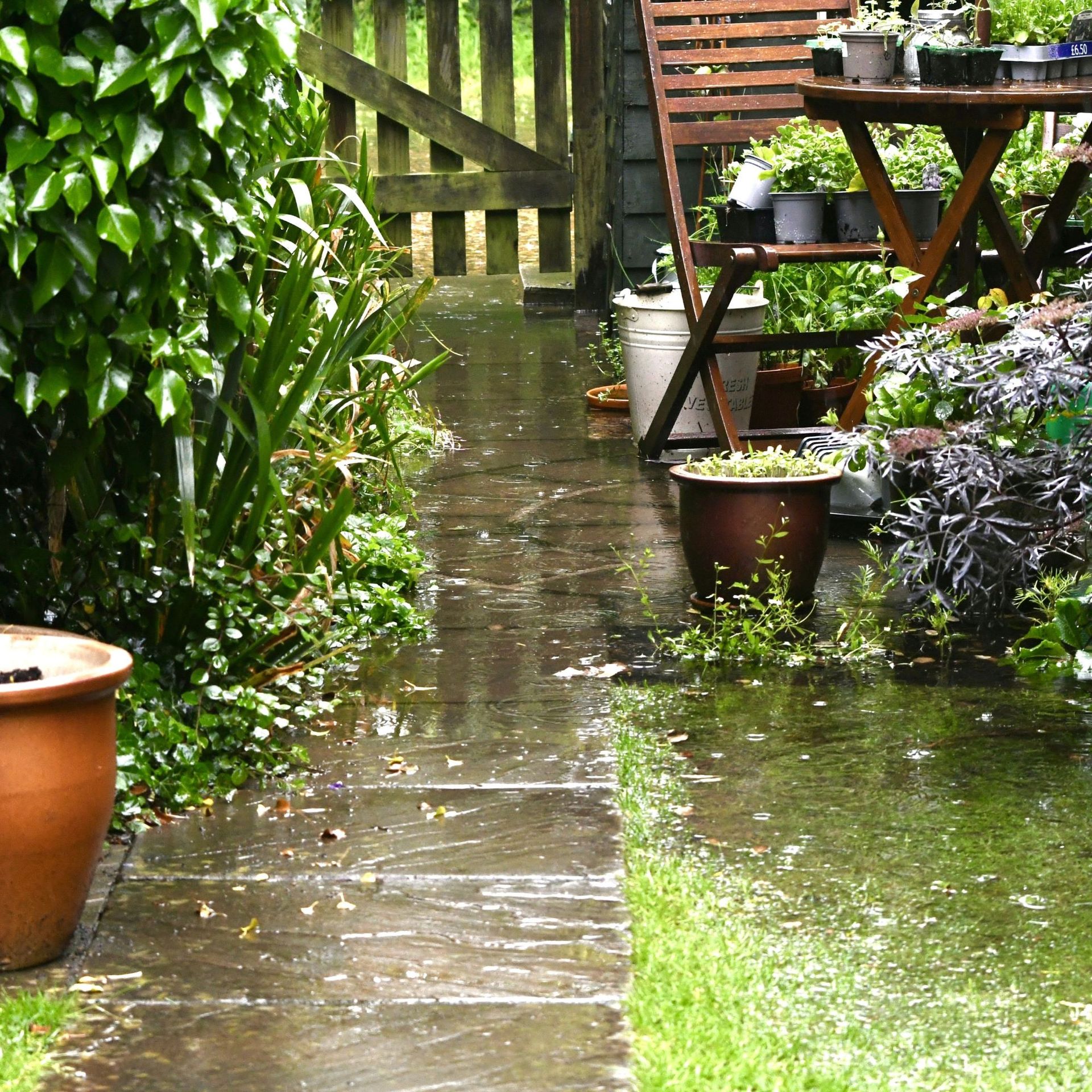How to improve drainage in a garden — 4 DIY options drainage experts ...