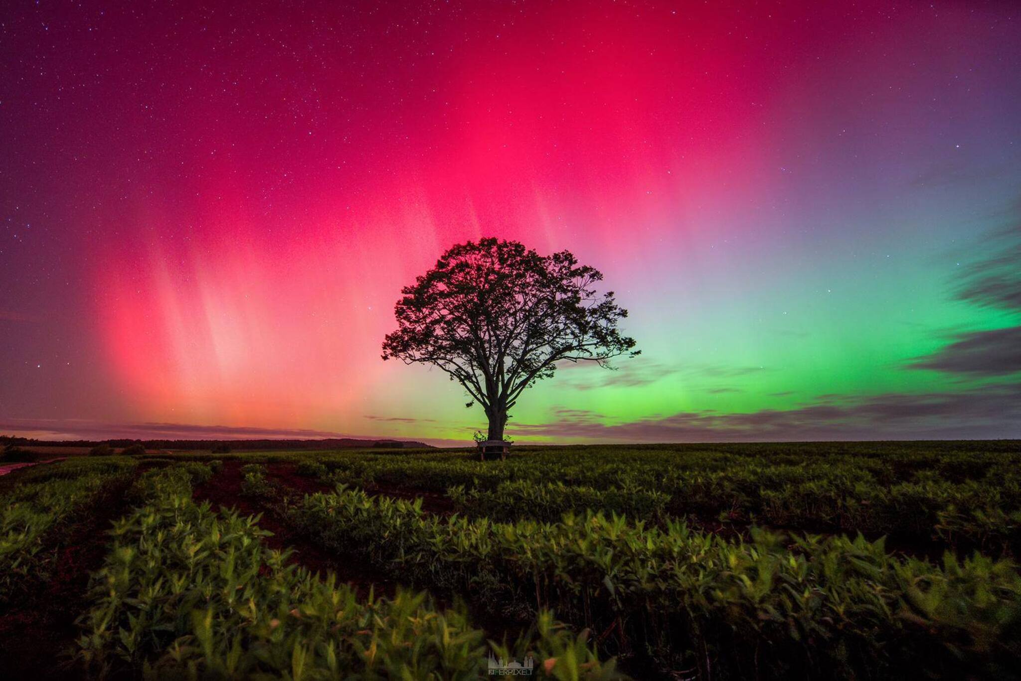 Polarlichter über Deutschland: Wo du sie heute Nacht sehen kannst