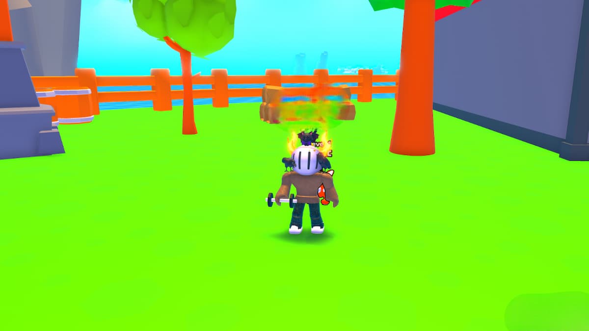 Strong Muscle Simulator Codes (January 2025)