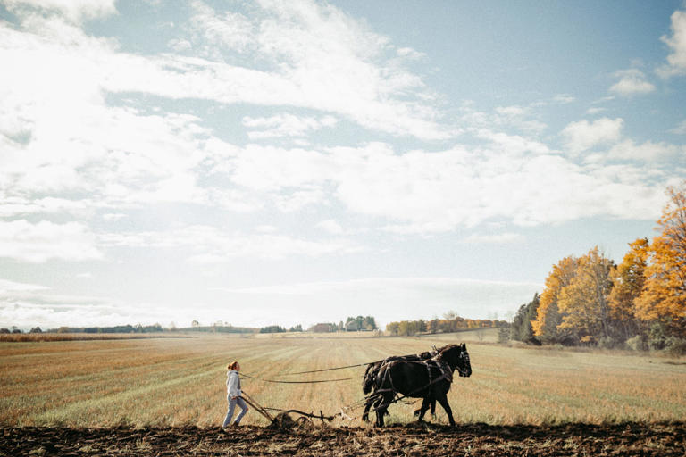 'Green and Gold' arrives in theaters Jan. 31. Here's why planning ahead ...