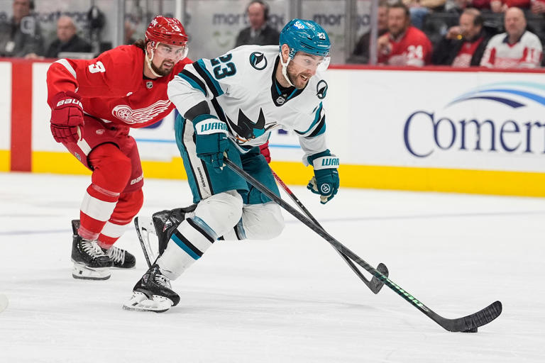 Todd McLellan torches Justin Holl, calls Detroit Red Wings' loss 'a ...