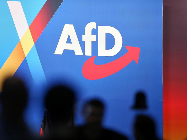 Bericht: AfD erbt weitere 6 Millionen Euro