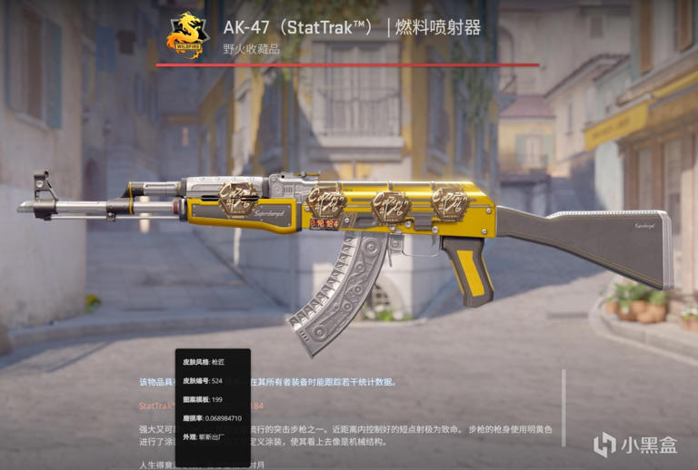 CS2职业哥库存饰品盘点-captainMo