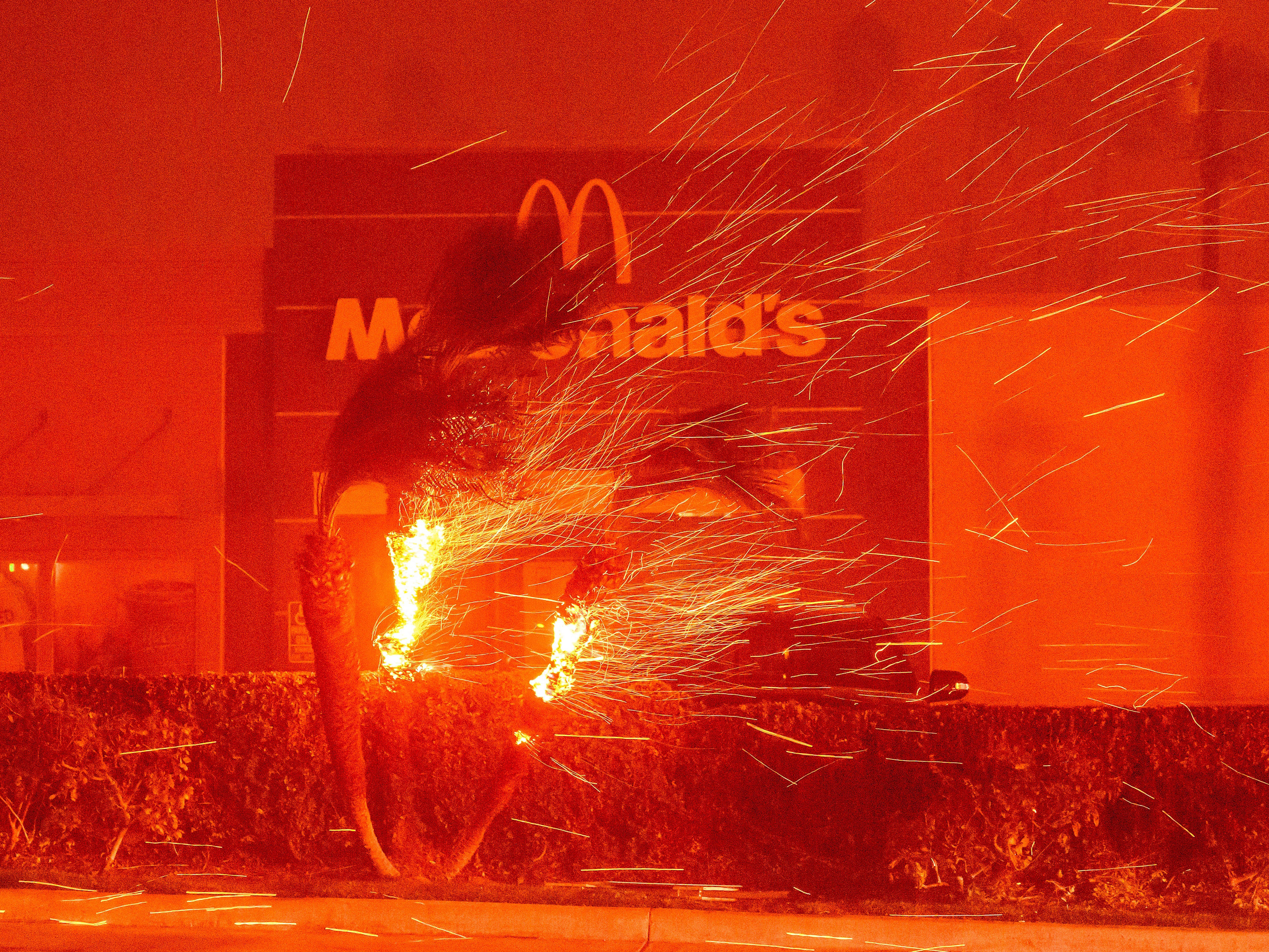 How Starbucks, Disney, and other companies are reacting to the LA fires