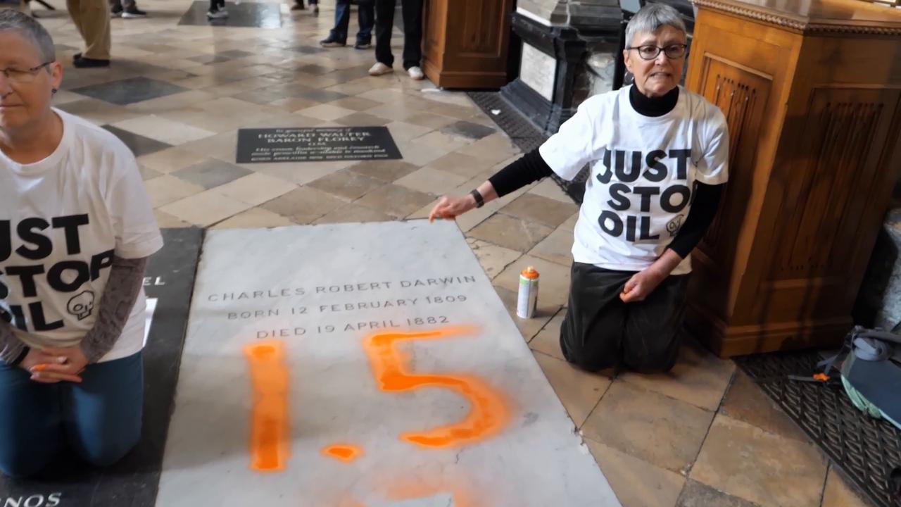 Climate extremists attack Darwin's grave in London