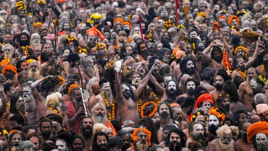Mahakumbh 2025 in numbers: Budget ₹7,500 crore, revenue ₹2,00,000 crore ... Mahakumbh 2025 in numbers: Budget ₹7,500 crore, revenue ₹2,00,000 crore ...
