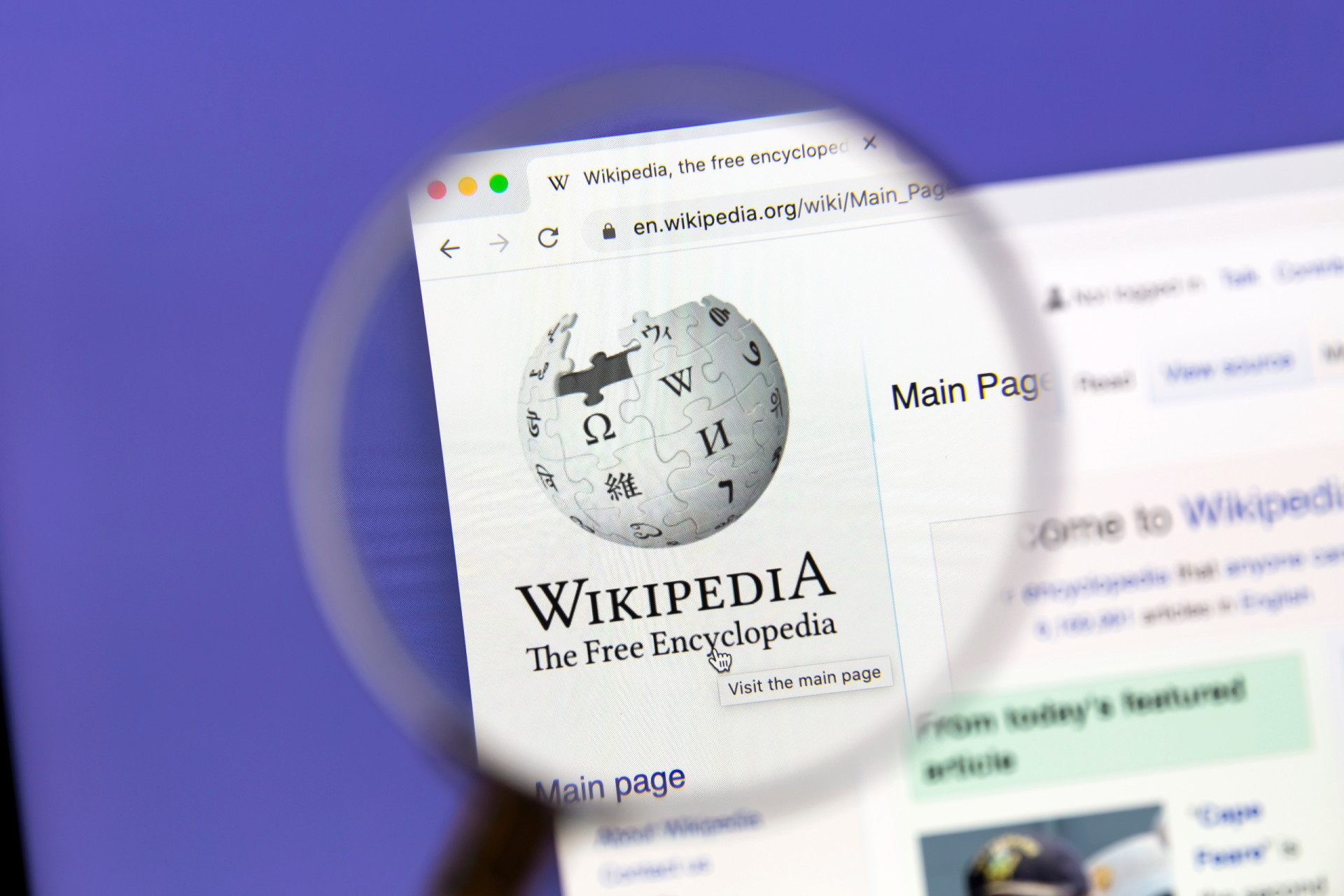 Wikipedia Day: celebrating the world’s biggest online encyclopedia