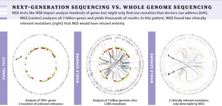 Scientists and Doctors Reveal How Genes are Mapping Cures for Cancer