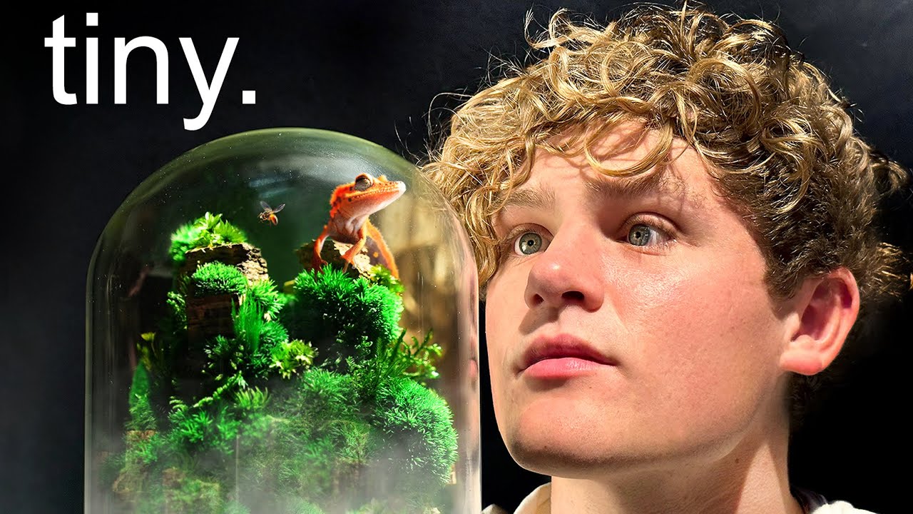 Creating a miniature world: Ecosystem edition