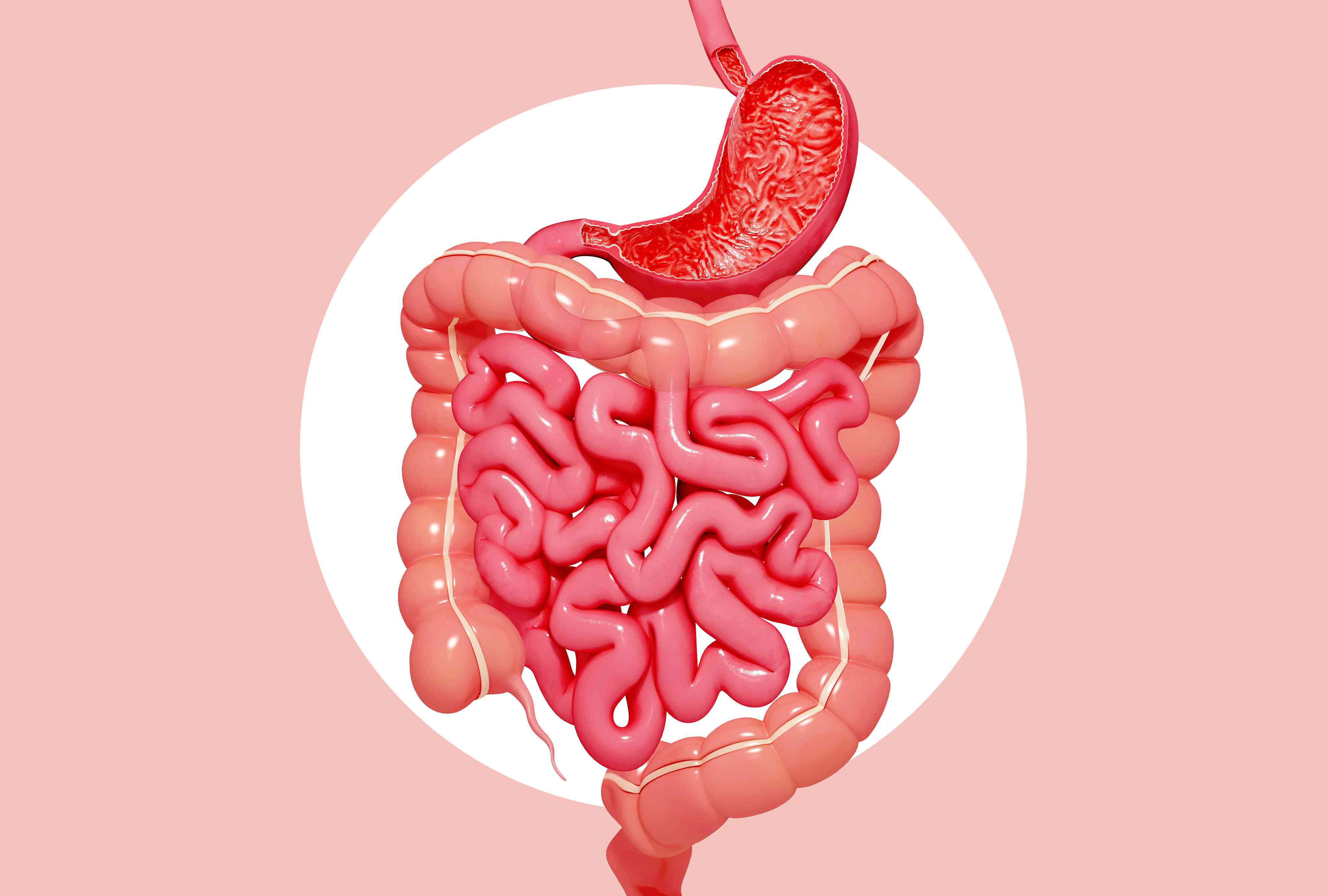 This Common Food Additive Is In Everything —and It Could Be Messing ...