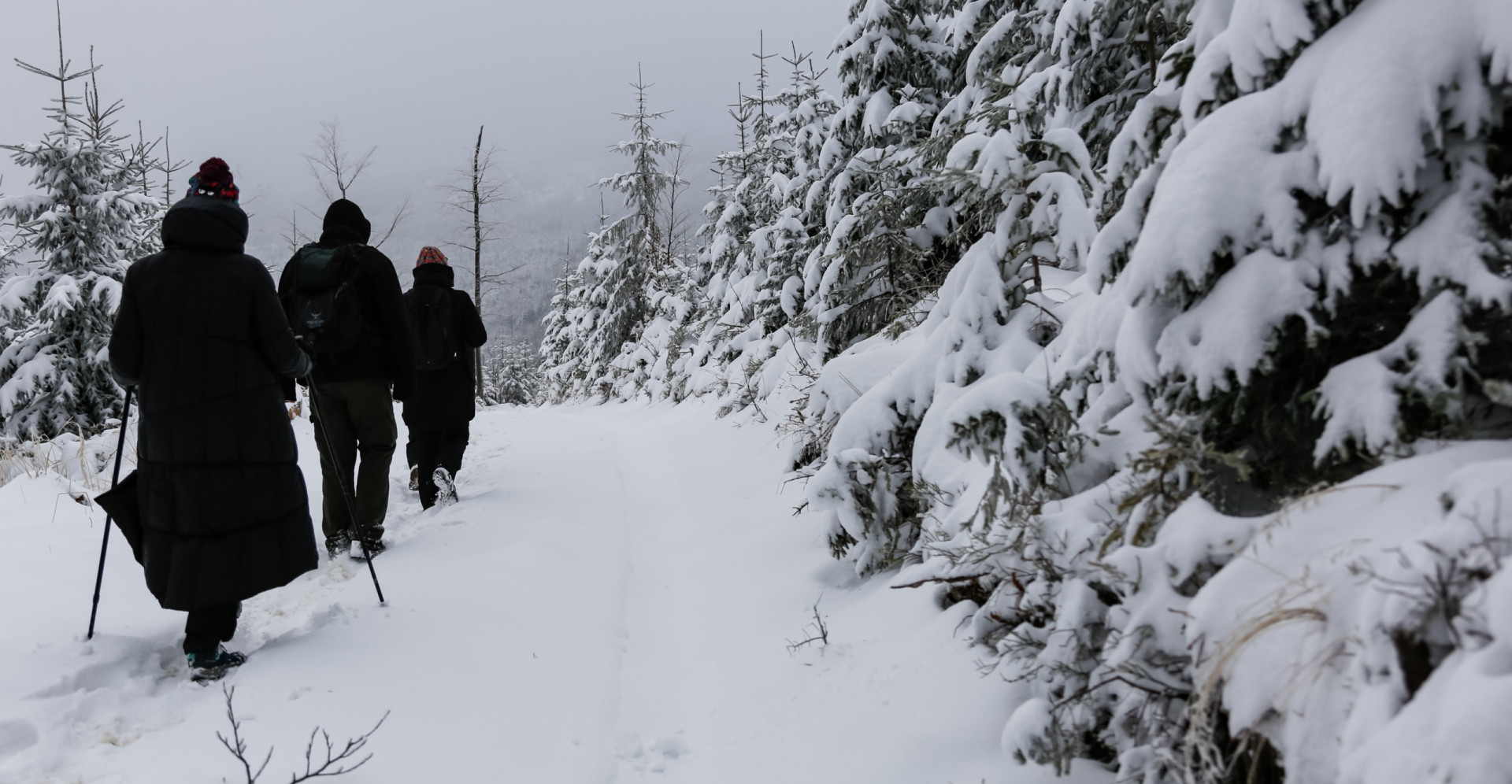 Must-have skills for surviving in the wilderness