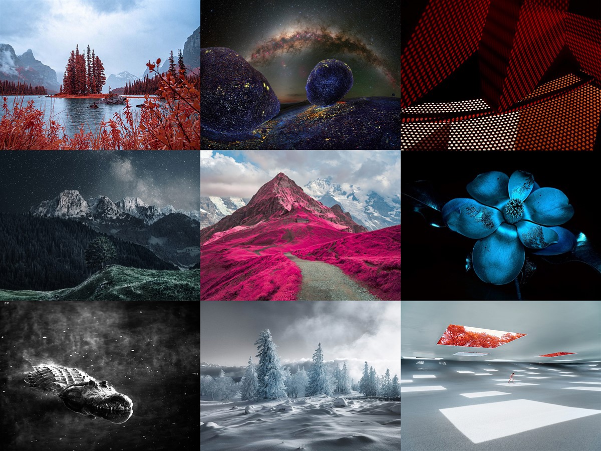 The winners of this infrared photo contest show life under a different ...