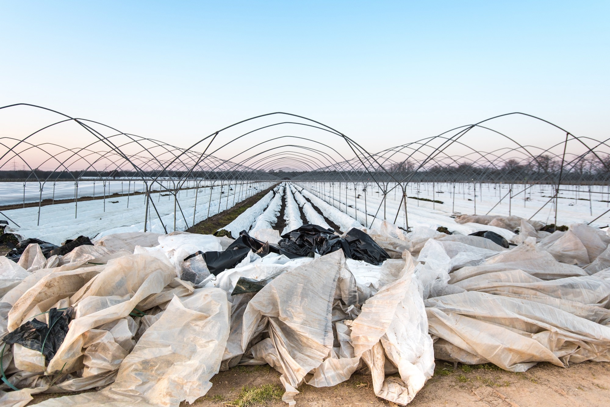 Using Agricultural Film Waste as a Binder in Construction Composites