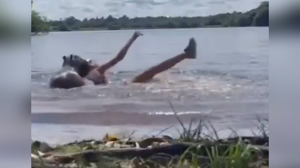 Capybara attackiert Mädchen in Badesee