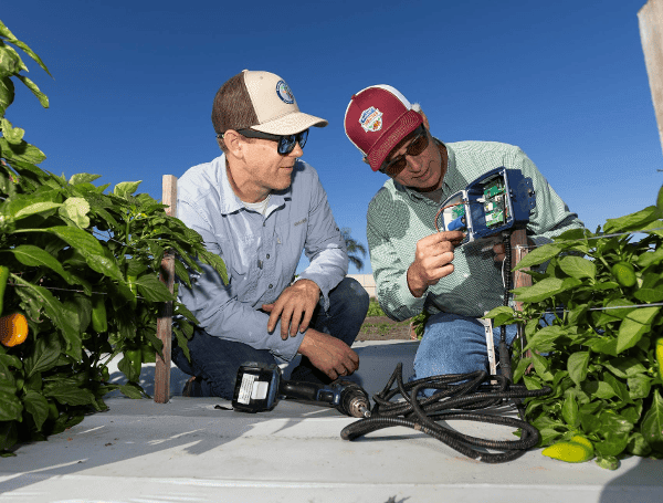 UF/IFAS Extension Helps Florida Farmers Reduce Water Use By 40%