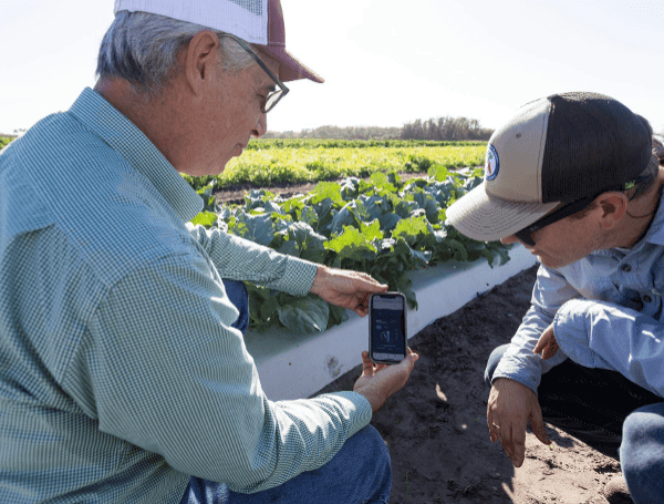 UF/IFAS Extension Helps Florida Farmers Reduce Water Use By 40%