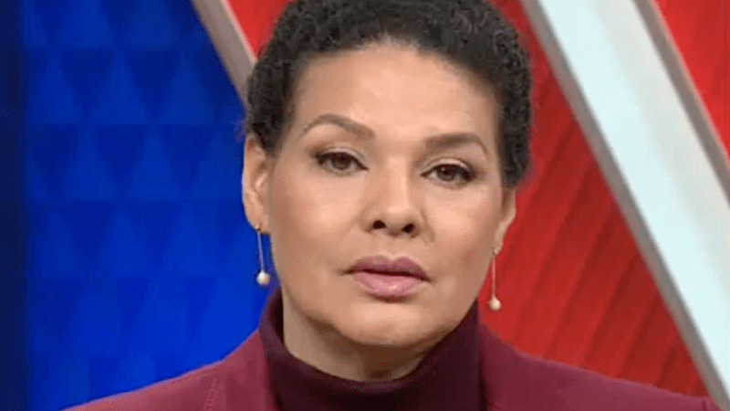 'Okay, interesting': CNN host skeptical of GOP consultant's Project ...