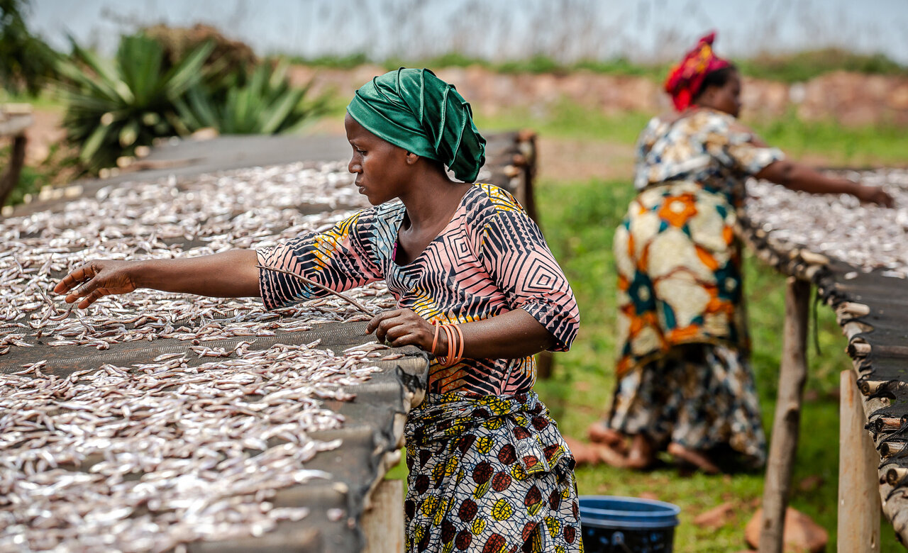 Millions rely on small-scale fisheries for nutrition and livelihoods ...