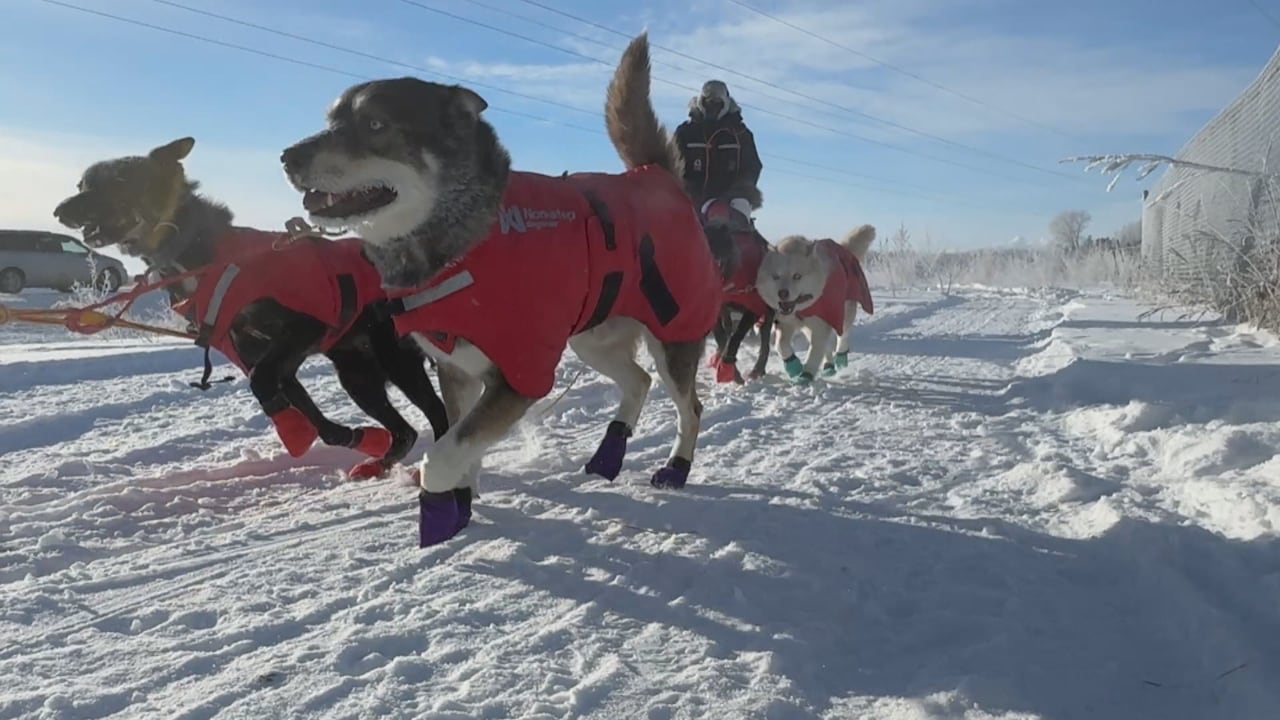Normal winter conditions a breath of fresh air for some businesses
