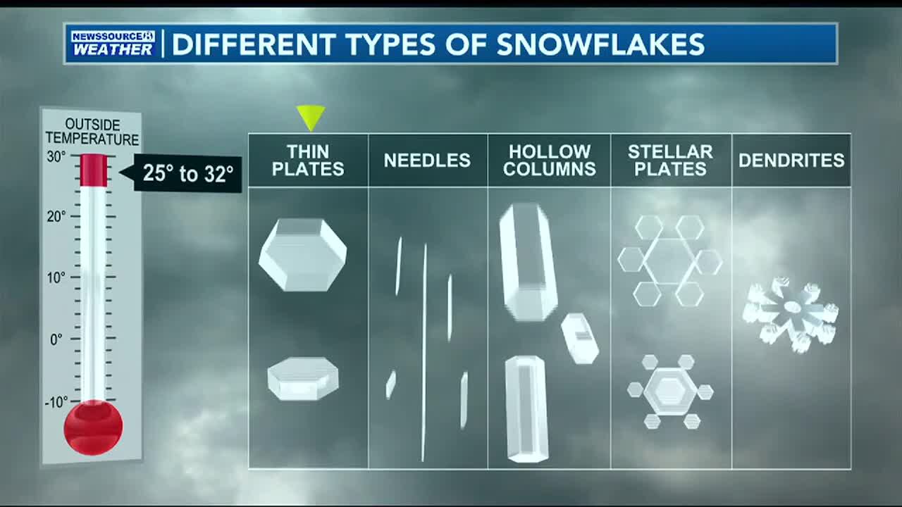 The Different Types of Snowflakes