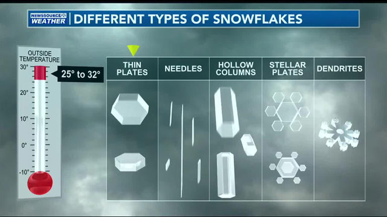 The Different Types of Snowflakes