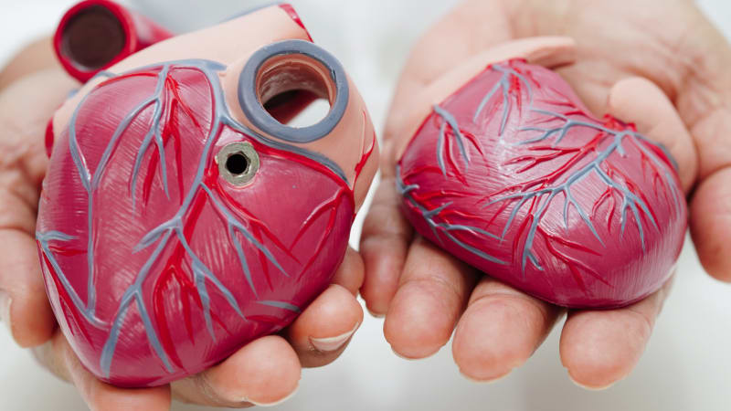 Muž se dvěma srdci se stal lékařským zázrakem. Fungování jeho těla vám ...