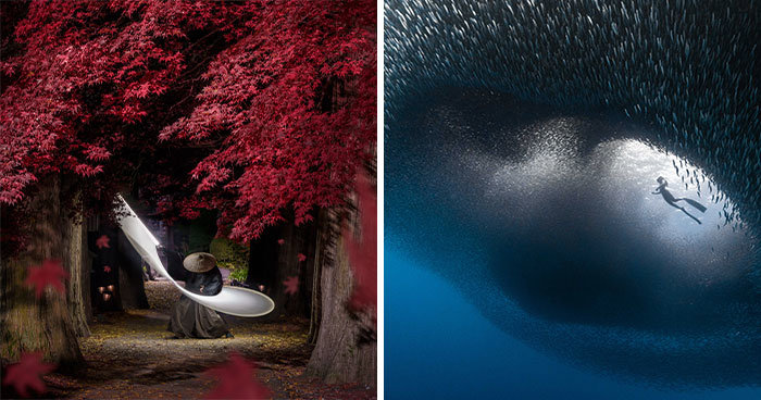 2024 IPA Winners: Unveiling The Future Of Photography In 15 Pictures 2024 IPA Winners: Unveiling The Future Of Photography In 15 Pictures