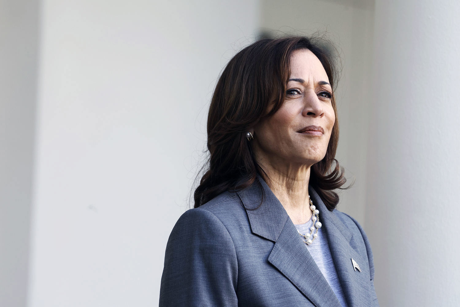Kamala Harris' potential next move: A book Kamala Harris' potential next move: A book