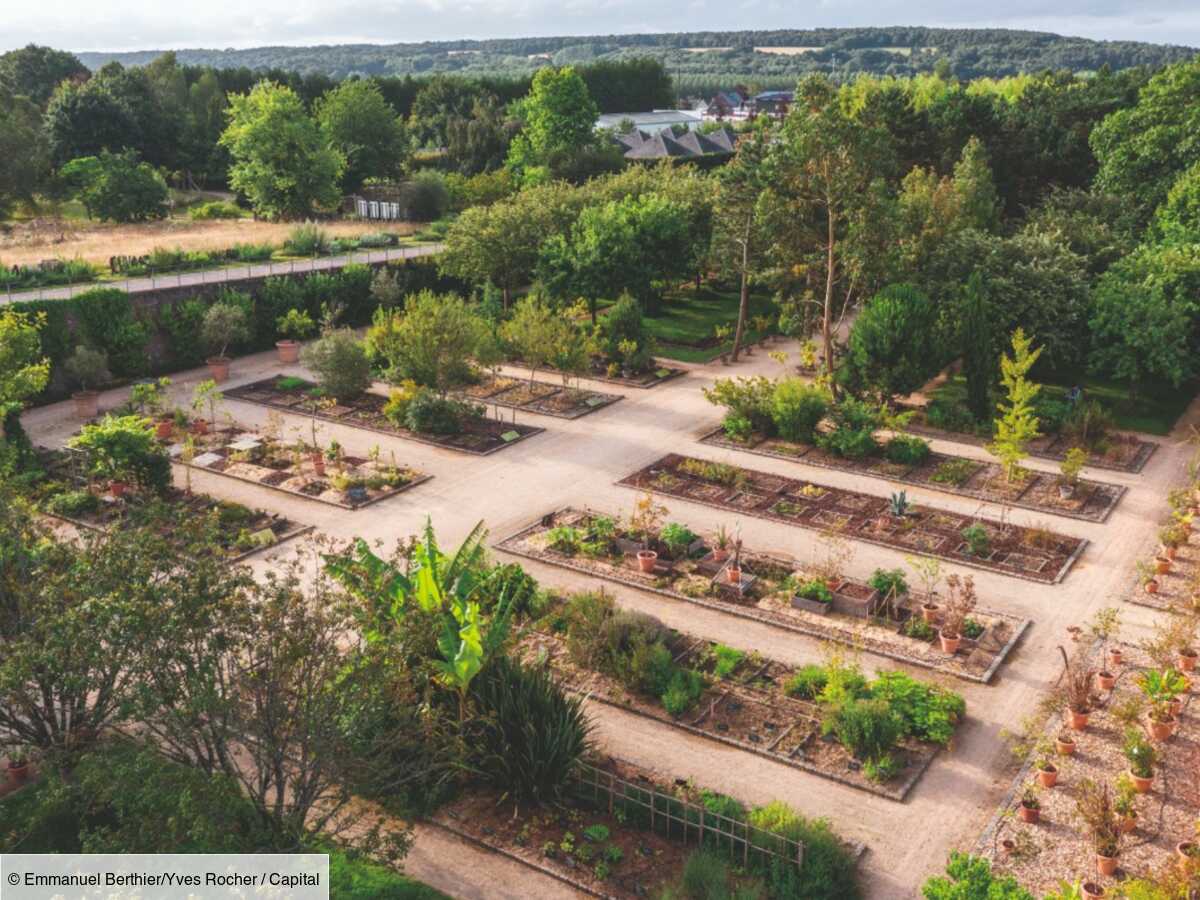 «De la plante à la peau» : le groupe Rocher s'engage dans la cosmétique ...
