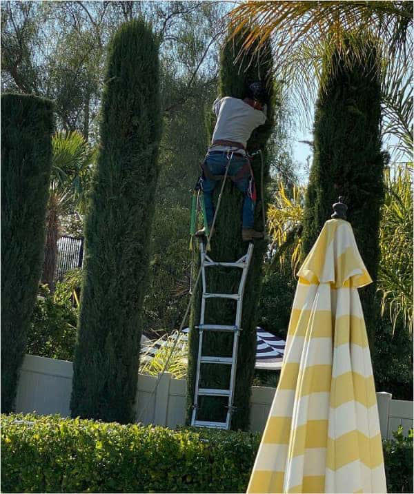 40 Funny OSHA Fails For Workers Whose Motto Is "Safety Last"