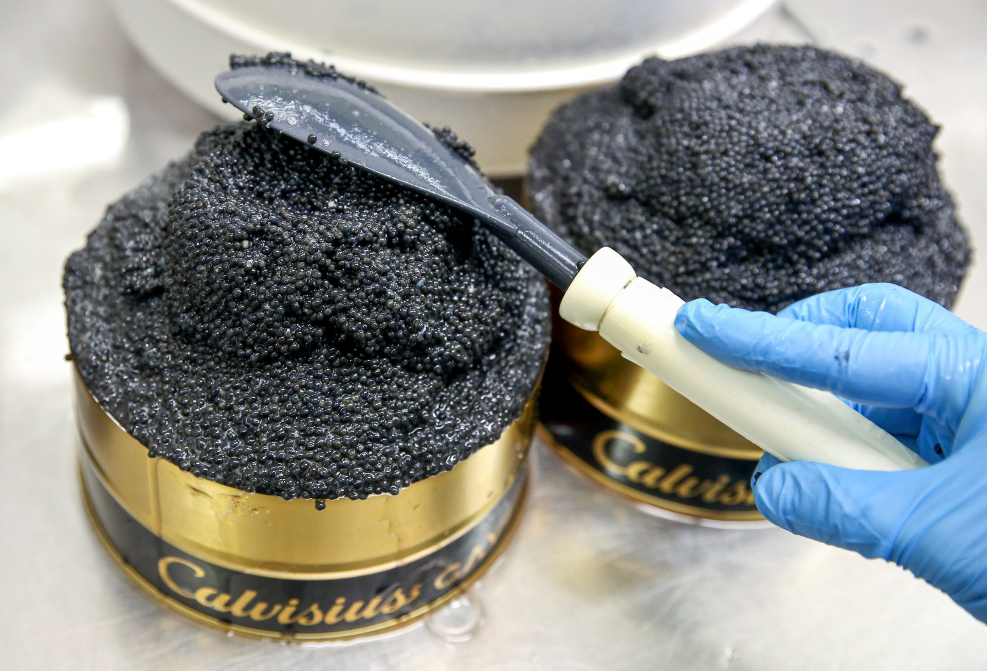 The world's most expensive foods