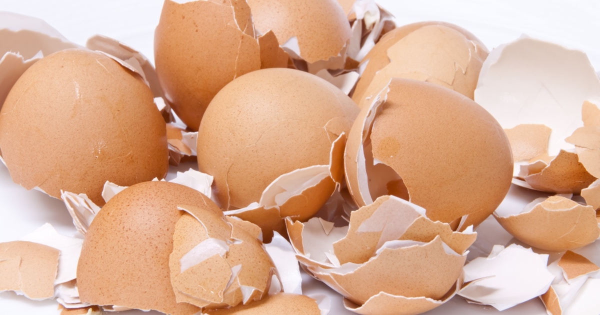 Derfor lægger flere en træske i gryden, før de begynder at lave mad ...