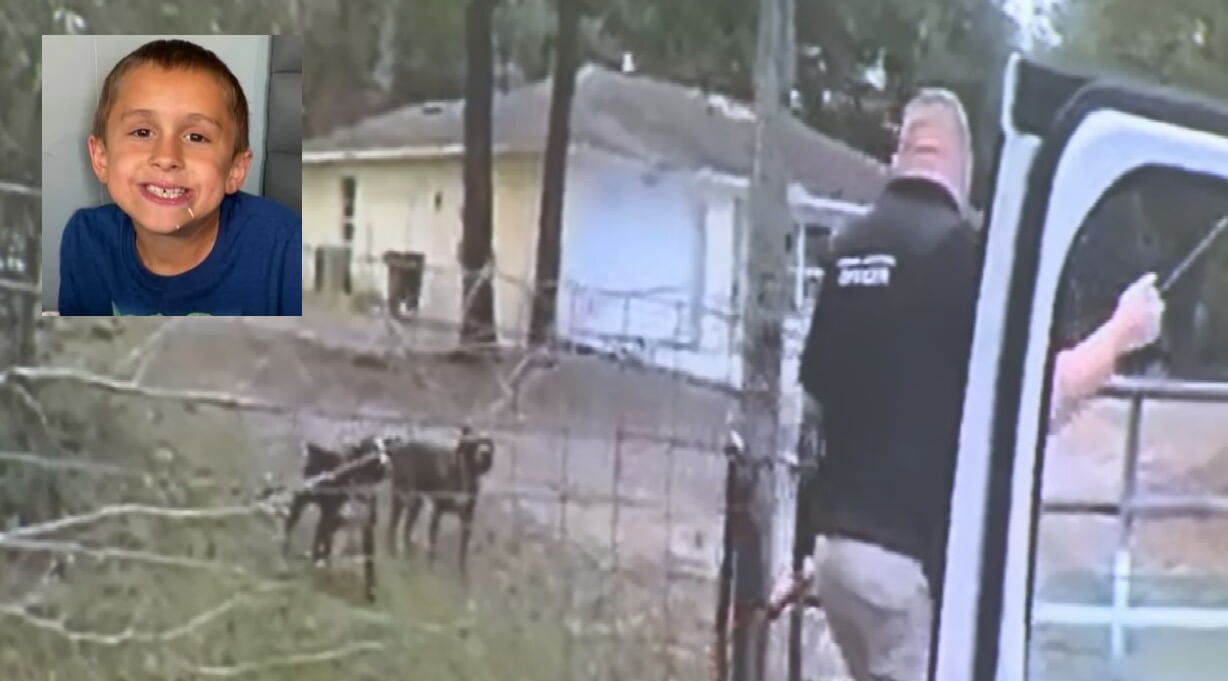 ‘They’re literally tugging on him' | Details released in deadly dog ...