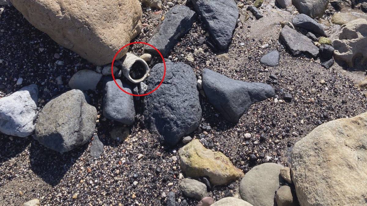 Amianto no Passeio Marítimo de Algés: estudo foi pedido em 2022 mas só ...