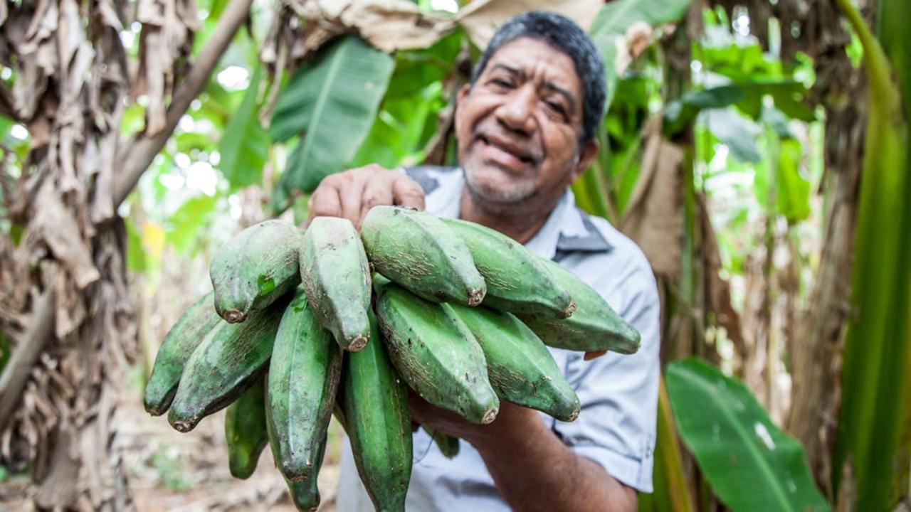 15 staple foods that fed empires and shaped civilizations for centuries