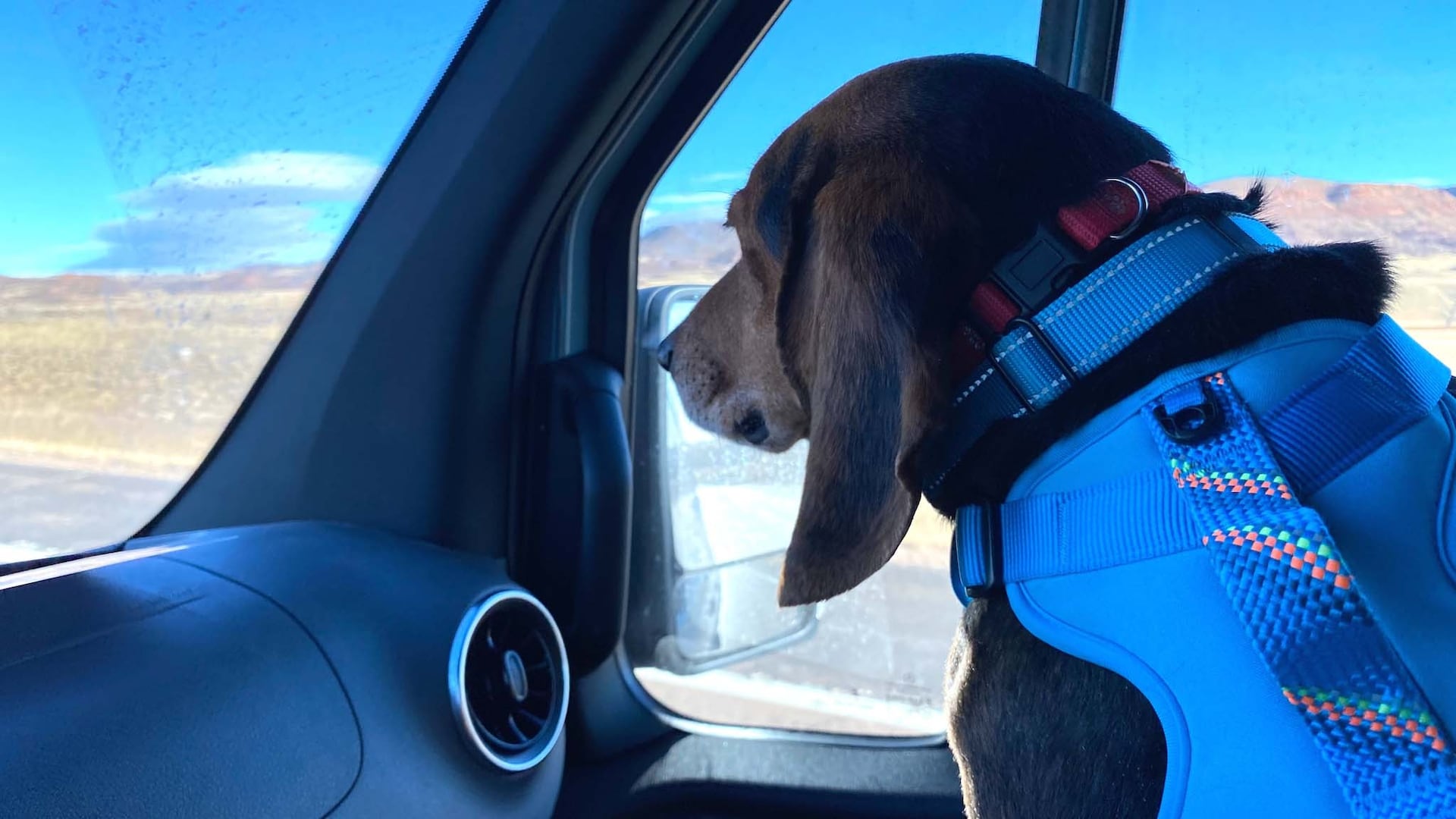 We’re on a Mission From Dog in Our Mercedes-Benz Sprinter