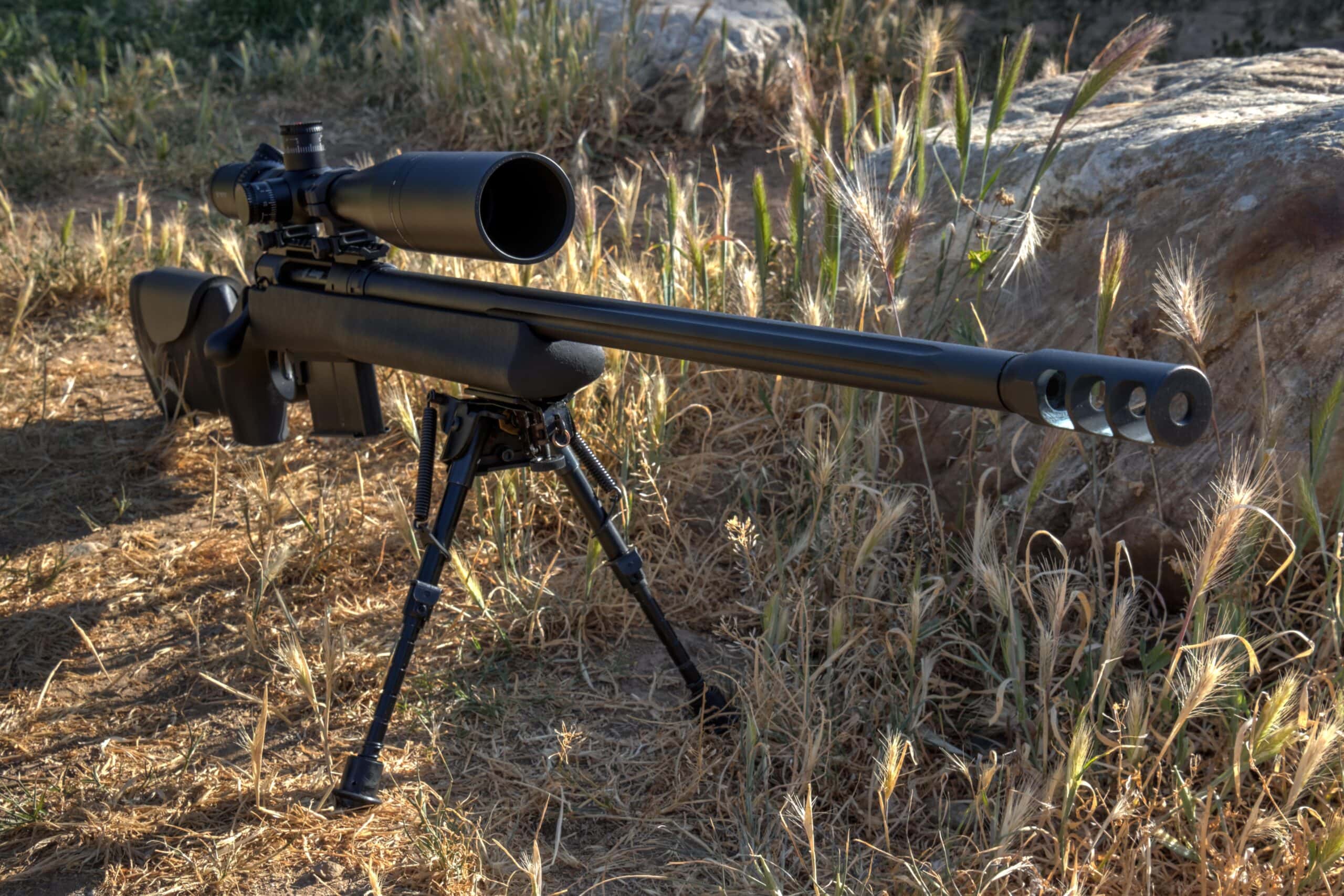 Americans Can’t Get Enough of These Best-Selling Rifles
