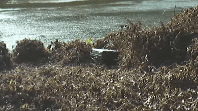 The murder of Jasmine Pace: Jurors examine evidence taken from Jason ...