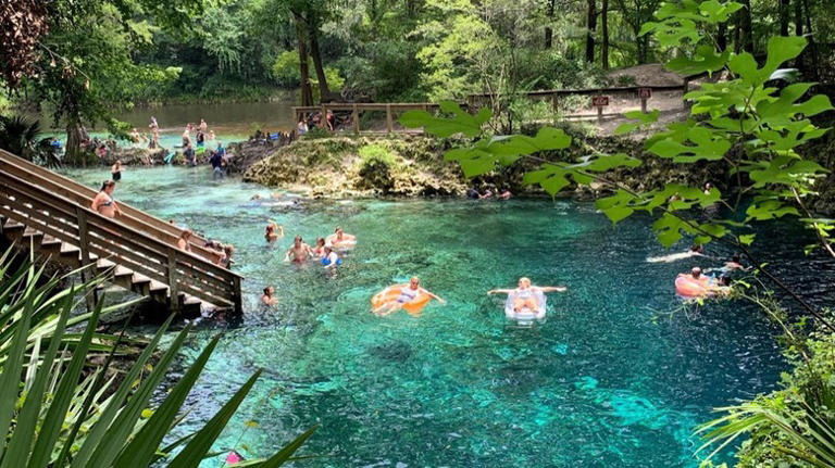 Hidden In Florida's Woodlands Is A Beautiful Blue Freshwater Spring For ...