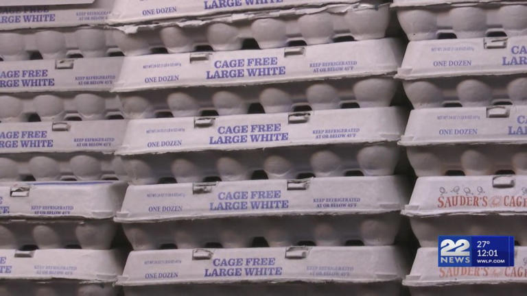 Bird flu outbreak drives egg prices higher