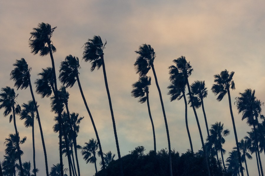 High winds slam Southern California; gusts up to 65 mph, power outages ...