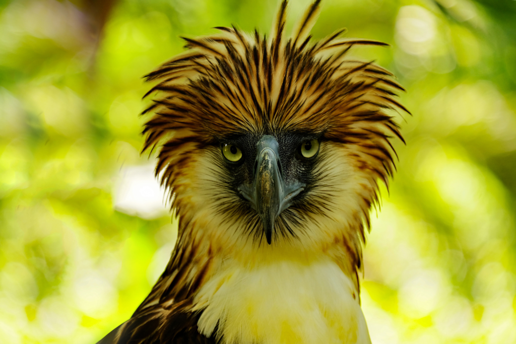 10 Endemic Animals Exist Nowhere Else On Earth